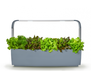 Eirberg ehf - Já.is